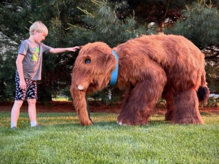 Gallery | Feller Express